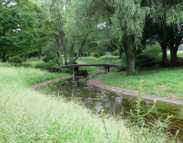 A day in the Emperor’s park (Part 1) – susan dalzell